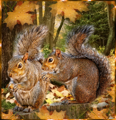 Fall GIF - Find on GIFER