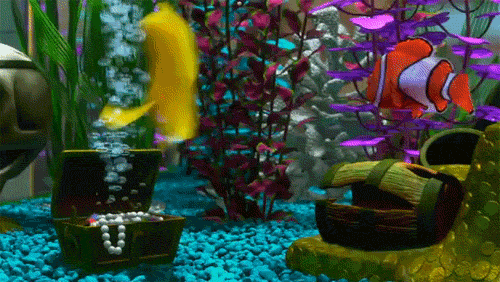 Finding nemo GIF on GIFER - by Grilsa