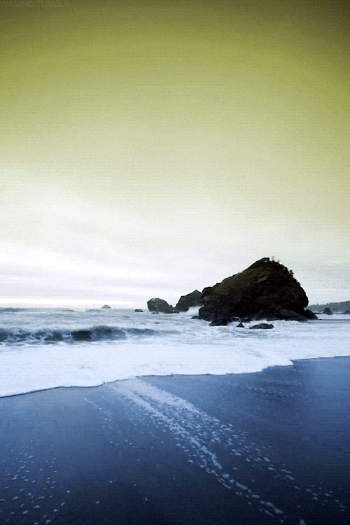 Nature GIF - Find on GIFER