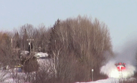 GIF canada - animated GIF on GIFER