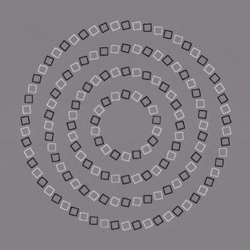 Animation loop artists on tumblr GIF - Find on GIFER