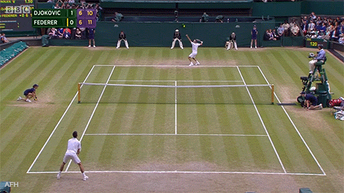 Wimbledon roger federer GIF - Find on GIFER