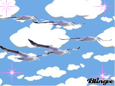Flying GIF - Find on GIFER