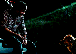 Will graham GIF - Find on GIFER