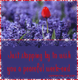 Peaceful GIF - Find on GIFER