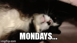 Okay garfield GIF on GIFER - by Graniginn