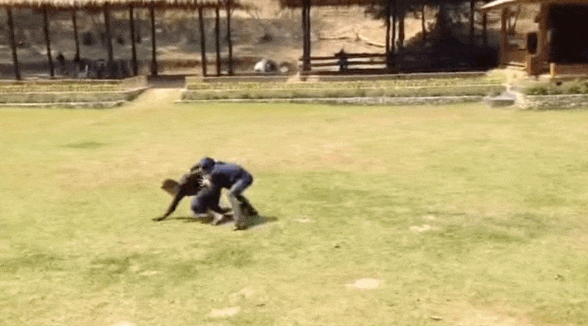 Humans GIF - Find on GIFER