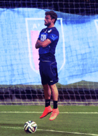 Fifa world cup GIF - Find on GIFER