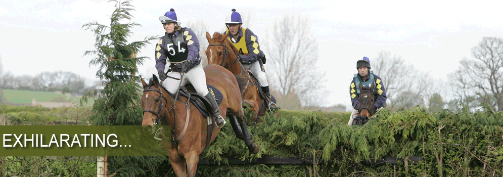 British GIF - Find on GIFER