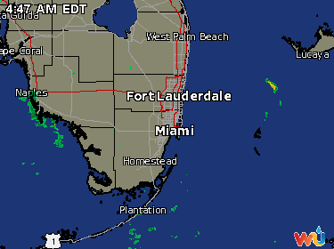 Miami GIF - Find on GIFER