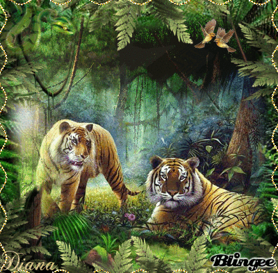 Jungle GIF on GIFER - by Mora