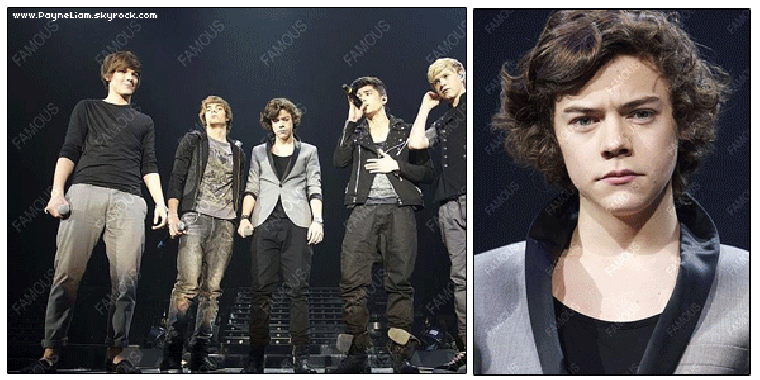 GIF x factor - animated GIF on GIFER