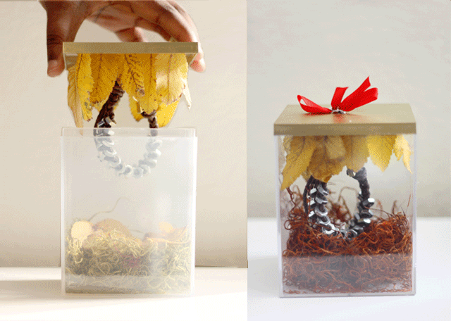 Diy GIF - Find on GIFER
