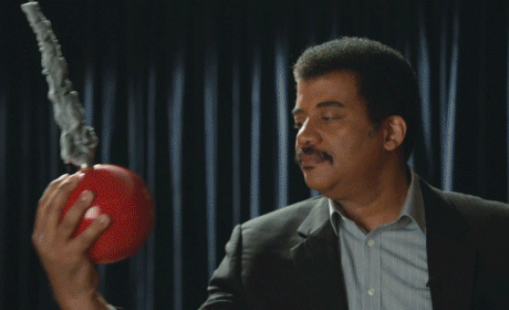 Reaction GIF - Find on GIFER