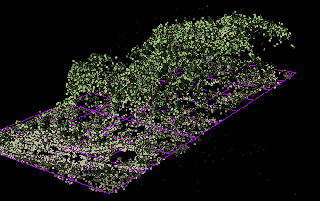 GIF processing - animated GIF on GIFER