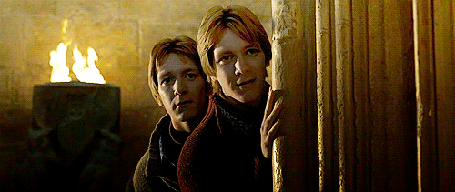GIF fred weasley - animated GIF on GIFER