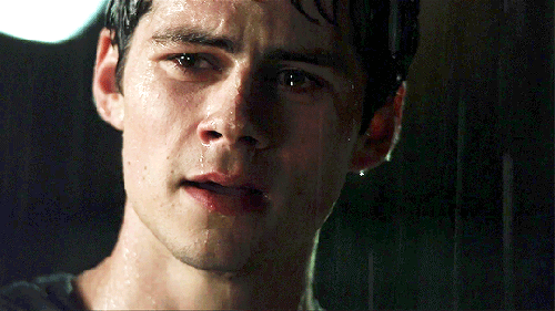 Stiles GIF - Find on GIFER