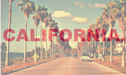 California GIF - Find on GIFER