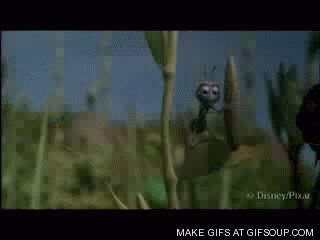 A bugs life GIF - Find on GIFER