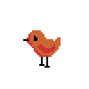 Bird GIF - Find on GIFER