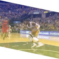Sports basketball nba GIF - Find on GIFER