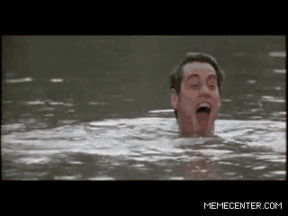 Nutshell GIF - Find on GIFER