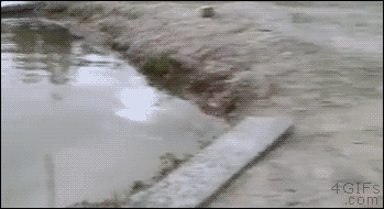 Humans GIF - Find on GIFER