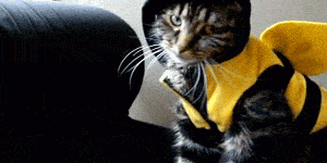 GIF me too - animated GIF on GIFER