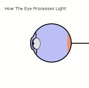 Eyes GIF - Find on GIFER