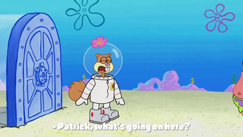 Sandys nutmare spongebob squarepants GIF - Find on GIFER