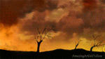Yellow GIF - Find on GIFER