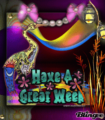 Of the week GIF - Find on GIFER