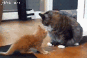 Boss final GIF - Find on GIFER