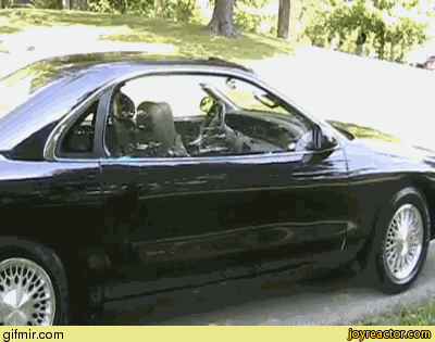 Car GIF - Find on GIFER