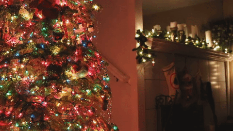 Christmas cinemagraph tree GIF - Find on GIFER