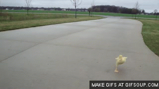Run GIF - Find on GIFER