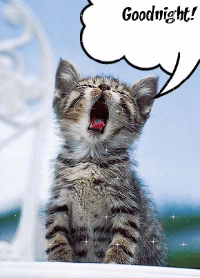 Humour GIF - Find on GIFER