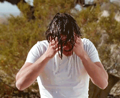 New leaf GIF - Find on GIFER