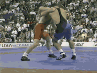 GIF wrestling - animated GIF on GIFER