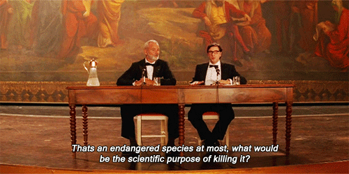 Wes anderson GIF - Encontrar em GIFER