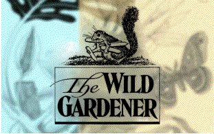 Wild GIF - Find on GIFER