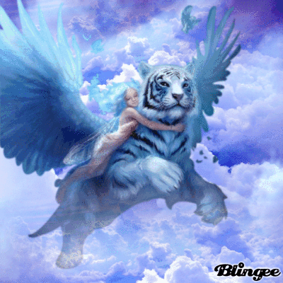 GIF flying - animated GIF on GIFER