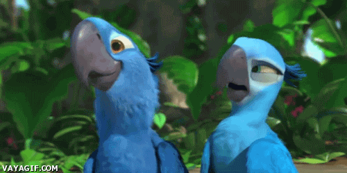 Gifs Animados Passaros Gifs Animados De Aves En Vuelo En La Laguna