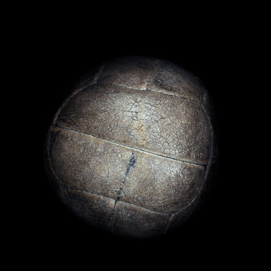 Gif De Ratón Corriendo Con Rueda Freefish Rueda De Hámster, Rueda De