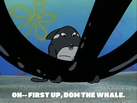 Musclebob buffpants episode 11 GIF - Find on GIFER