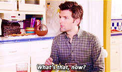 Ben wyatt GIF - Find on GIFER