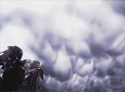 Winter is coming GIF - Find on GIFER