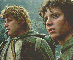 The lord of the rings sam is the best character and frodo can get out ...