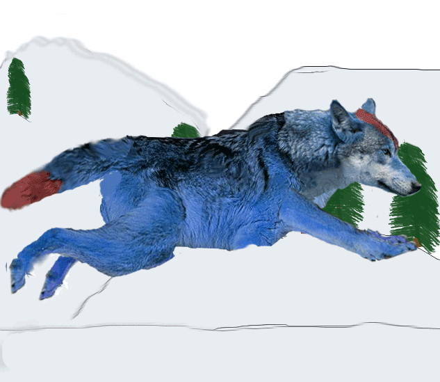 GIF running - animated GIF on GIFER