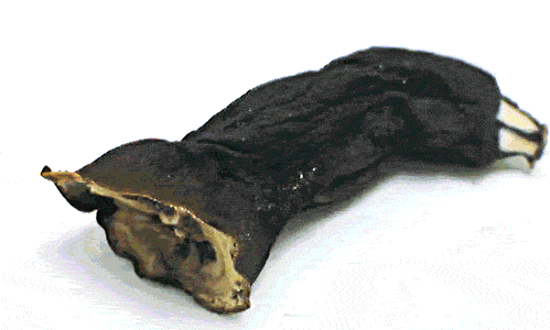 Banana food zombie GIF - Find on GIFER